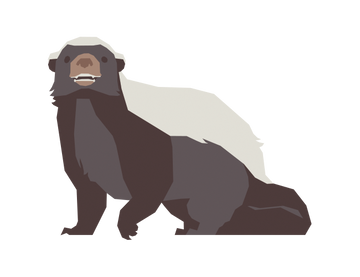 Badgers From Mars